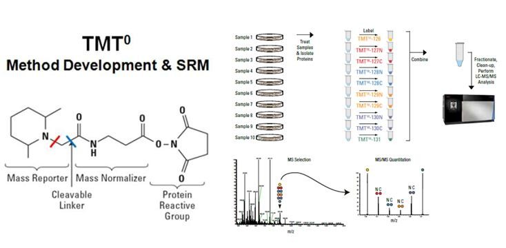 iTRAQ/TMT蛋白质组学分析基本知识点 - 组学大讲堂问答社区